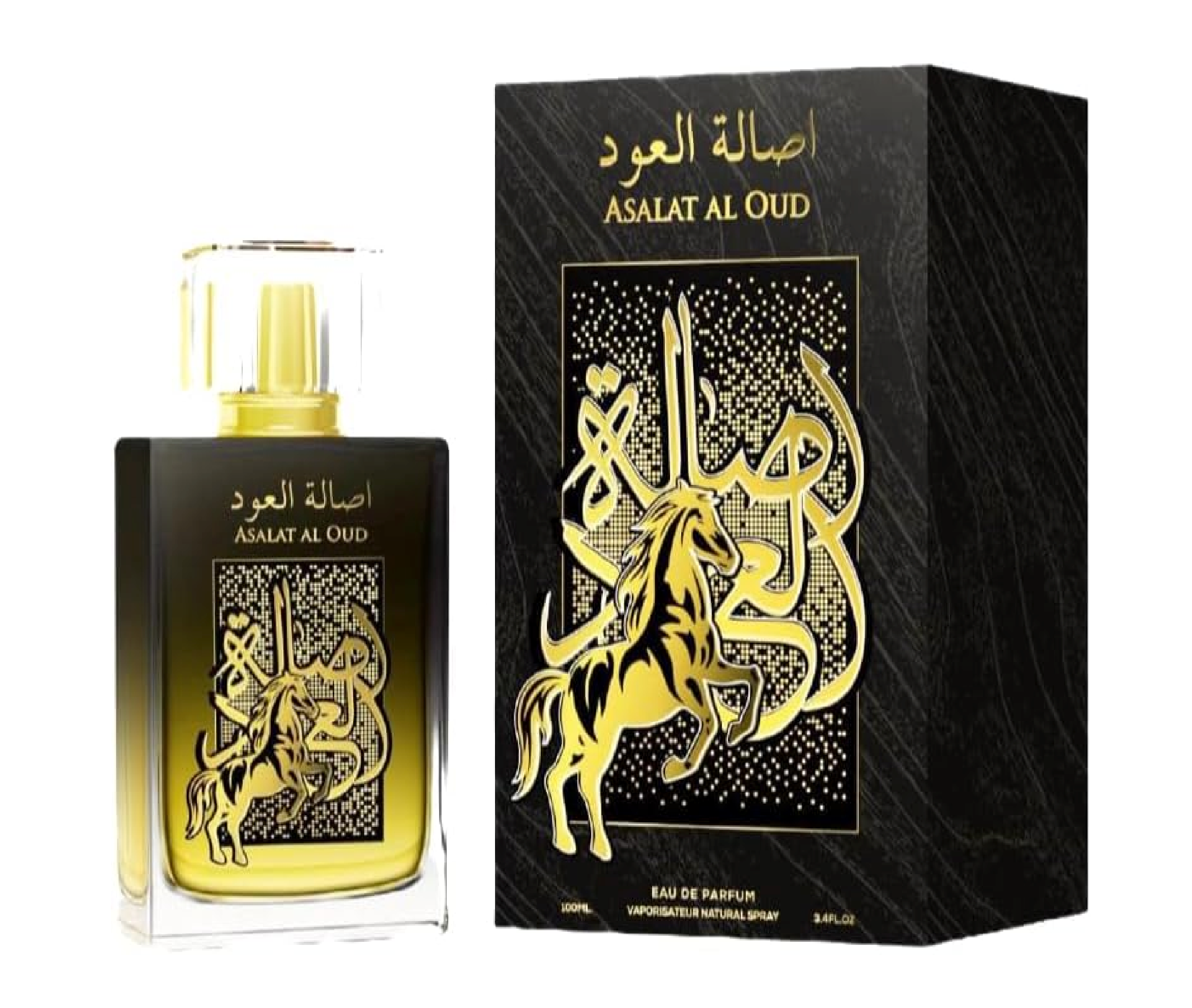 Asalat Al Oud Eau de Parfum Uomo 100ml – Profumo Orientale Legnoso con ...